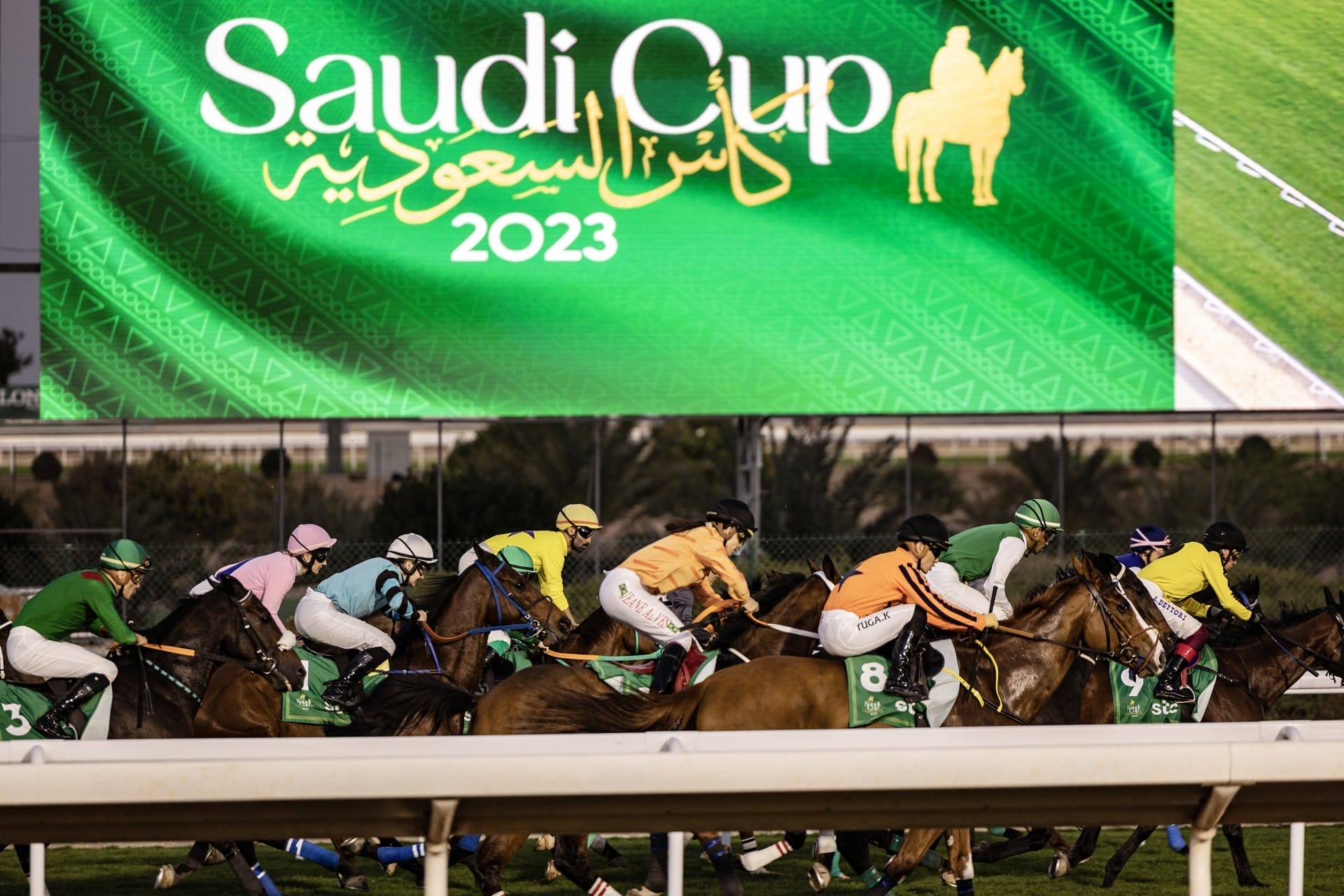 Saudi Cup - Blink Experience